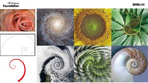 神奇的斐波那契数列nbawxs 站酷zcool