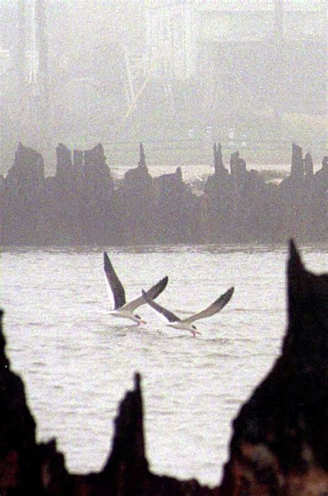 Rollover Pass Advocates Battling Closure To The End