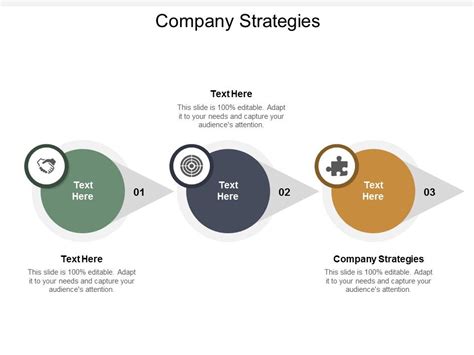 Company Strategies Ppt Powerpoint Presentation Summary Template Cpb