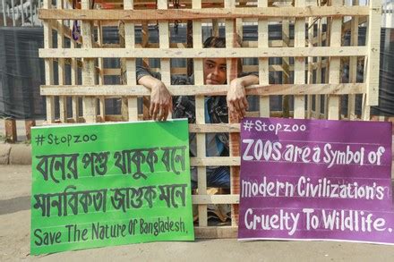 Sitting Inside Wooden Cages Hands Shackled Editorial Stock Photo Stock Image Shutterstock