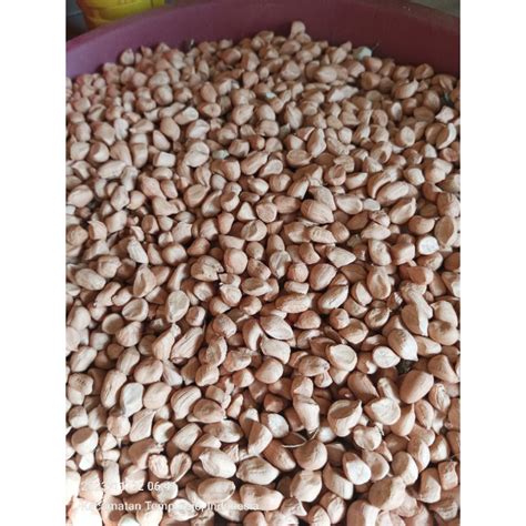 Jual 1kg Benih Biji Kacang Tanah Hibrida Super Shopee Indonesia