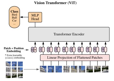 注意力公式步骤每一步的含义、self Attention自注意力机制、vision Transformer（vit）模块理解注意力权重具体计算过程 Csdn博客