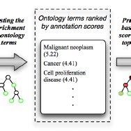 An Example Of The Input Data Format Download Scientific Diagram