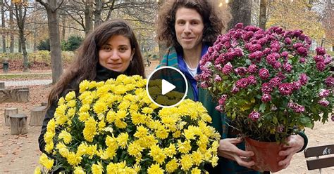 Rebel Up Friends W Roza 54sound Kiosk Radio 01 12 2022 By Kiosk Radio Mixcloud