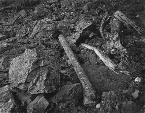 Tom Willock — Willock And Sax Gallery