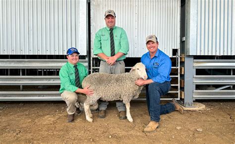 Outback Mpm Sale Saw Demand From Local And Interstate Buyers The Land