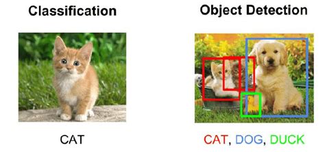 Difference Between Classification And Object Detection Download