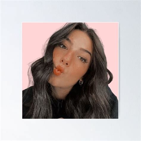 Dixie Chases Instagram Twitter And Facebook On Idcrawl