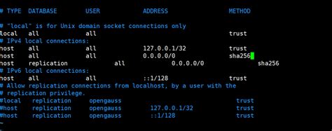 系统国产化替代方案（三）mysql数据迁移至opengaussmysql迁移opengauss Csdn博客