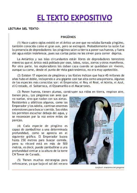 Ejemplo De Texto Expositivo Para Sexto Grado Image To U