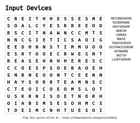 Input Devices Word Search