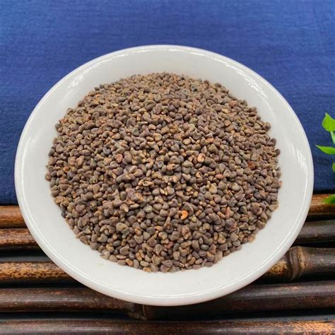 侧柏叶中草药则柏叶扁柏叶生发乌发中药材制何首乌干姜皂角无患子 虎窝淘