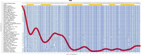 Manf Gene Genecards Manf Protein Manf Antibody