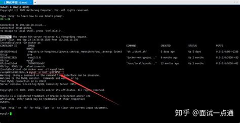 Docker 之mysql从头开始——docker下mysql安装、启动、配置、恢复备份sql、进入容器执行（查询）sqldocker Mysql 查看数据库 Csdn博客