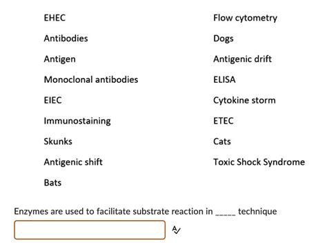 Ehec Antibodies Antigen Monoclonal Antibodies Eiec Immunostaining