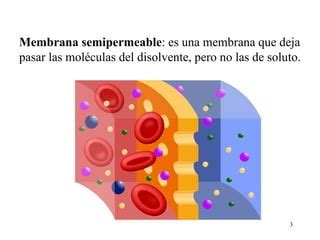 Presión Osmótica Ppt