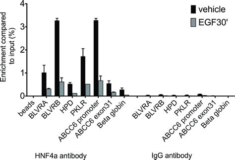 Chip Qpcr Results Showing Hnf4α Occupancy On Seven Genomic Regions Of