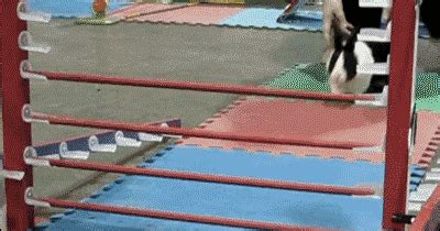 Nananana Batman  Challenge
