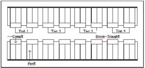 Schematic Layout Of The Treatments In The Farrowing House Download