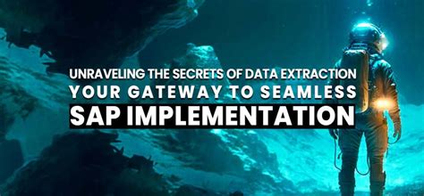 Your Gateway To Seamless SAP Implementation DME