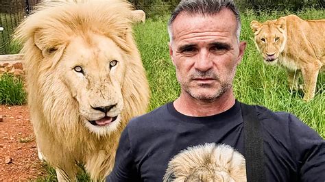 Best Wildlife Videos To Watch Right Now