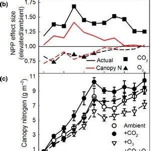 NPP B Actual NPP Effect Sizes And Effects Modeled From Canopy N Download Scientific Diagram