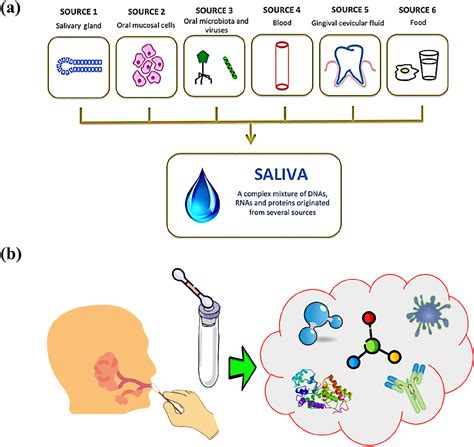 Salivary Analysis An Emerging Paradigm For Non‐invasive Healthcare