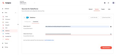 Salesforce Hotglue Docs