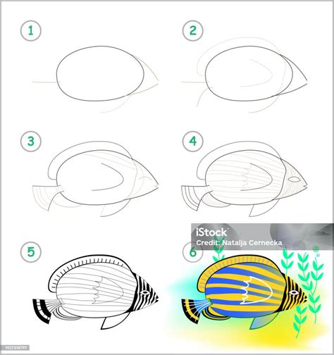 어린이를 위한 교육 페이지는 아름다운 열대 수족관 물고기를 그리는 방법을 단계별로 배우는 방법을 보여줍니다 학교로 돌아 가기 아이들의 그림 그리기와 색칠 기술 개발 벡터