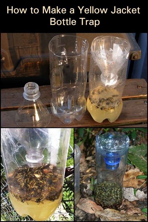 Diy Hornet And Wasp Trap Artofit