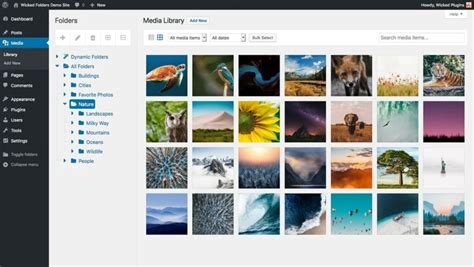5 Best Wordpress Media Library Folder Management Plugins