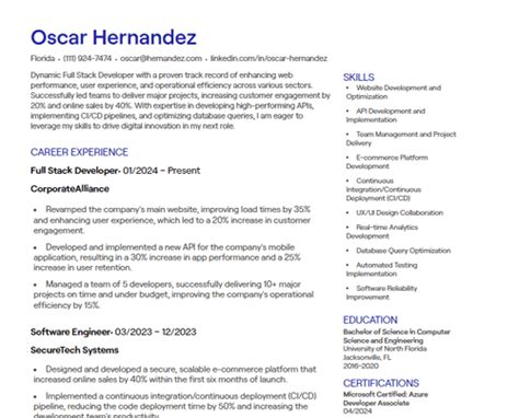 15 Front End Developer Cv Examples [with Free Templates]