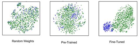 Fine Tuning For Image Classification Using Pytorch By Abhishek Thakur