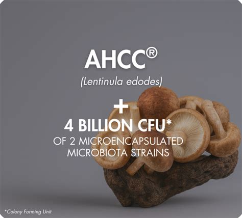 Mushroomssentiel Ahcc Therascience