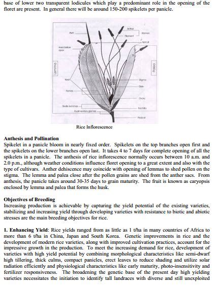 Plant Breeding And Genetics Books Download Interwork