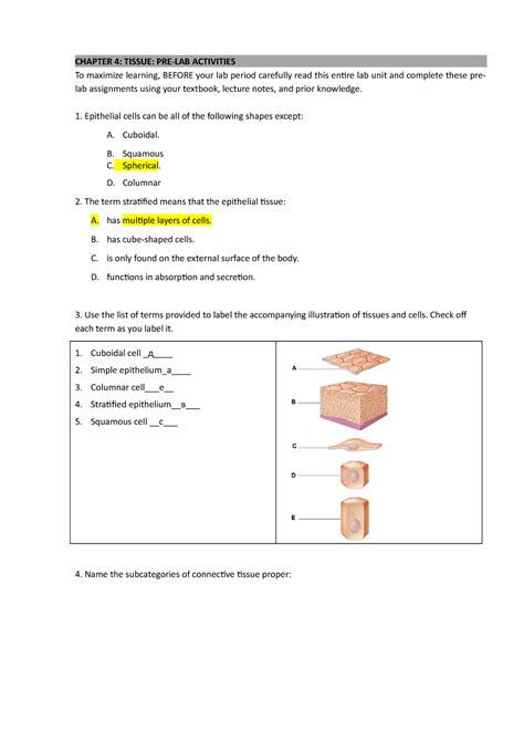 chap 4 pre lab excercises all tissue chapter 4 tissue pre lab activities to maximize