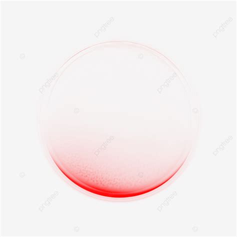 Ray Red Ray Circle Red Ring Red Acacia Bird Paper Cut Element Ring