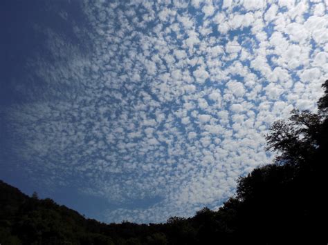 ზაფხულის ზეცა Summer Sky დედამოკა Jumutia Narti Flickr