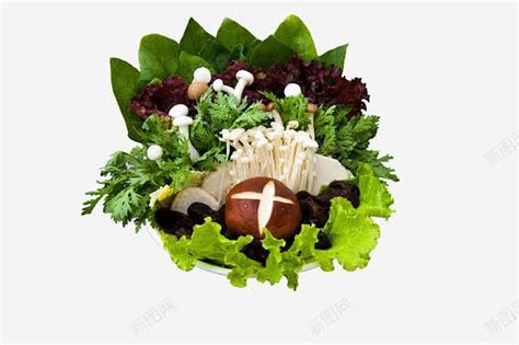 菌类蘑菇蔬菜拼盘摄影 元素 免抠png 设计图片 免费下载 页面网页 平面电商 创意素材
