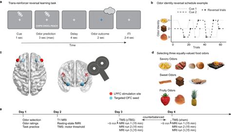 Midbrain Signaling Of Identity Prediction Errors Depends On Orbitofrontal Cortex Networks Pmc