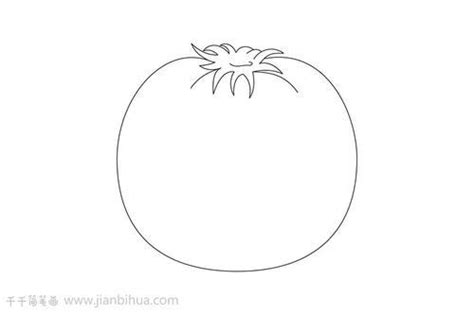 简笔画西红柿苗带果实 简笔画图片大全 普车都