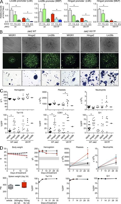 Loss Of Ezh2 Synergizes With Jak2 V617f In Initiating Myeloproliferative Neoplasms And Promoting