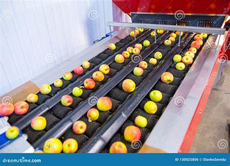 Robotic Sorting System Media Gripper On Universal Robot Is Sorting