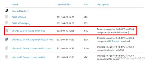 【持续更新中】从零开始优雅搭建编译环境ubuntu 2204 Zsh Csdn博客