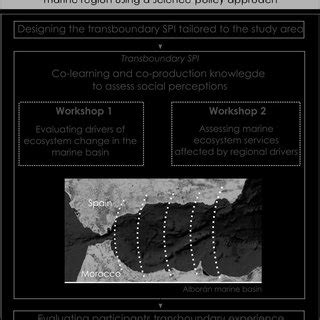 2 3 Study Workflow Download Scientific Diagram