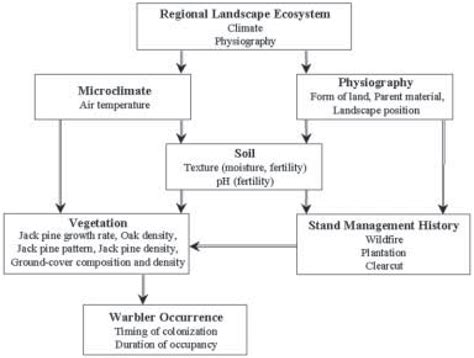 Schematic Diagram Depicting The Interconnection Of Factors Affecting Download Scientific