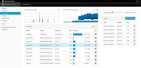 Wordpress Vps Hosting To Deliver Wordpress Container