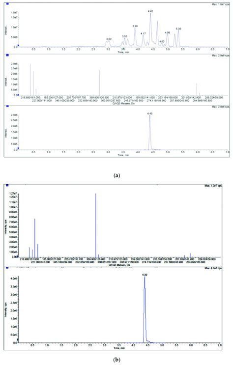 A Positive Orange Sample Containing 24 D Total Ion Chromatogram