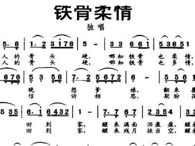 铁骨柔情 歌谱 简谱