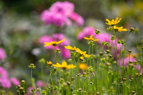 壁纸图片素材 壁纸设计素材 壁纸摄影作品 壁纸源文件下载 壁纸图片素材下载 壁纸背景素材 壁纸模板下载 搜索中心